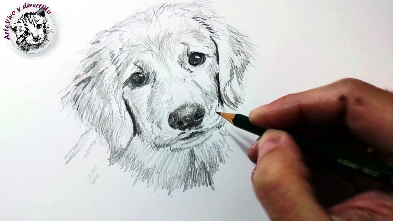 Técnicas y Tips de Dibujo con Lápiz de Grafito y Cómo Dibujar un Perro a Lápiz