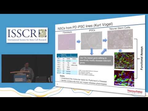 Efficient cell specific differentiation systems for iPSCs