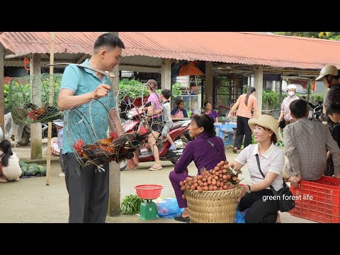Robert sold chickens and met Mai who was selling lychees. Green forest life