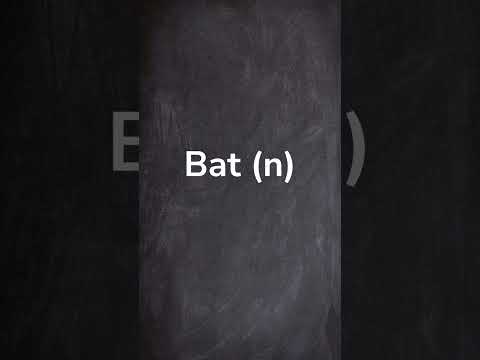 English words with multiple meanings.
