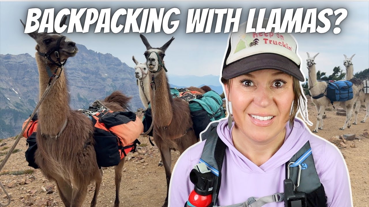 I Went Backpacking with Llamas on the Pacific Crest Trail in Washington