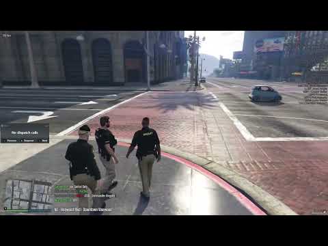 Caught lacking on patrol | PGN| ProGamer Network| LEO| #36