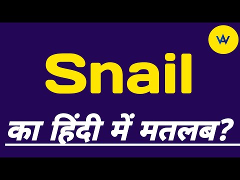 Snail meaning in Hindi | Snail ko hindi mein kya bola jaata hai ? | Snail means ?