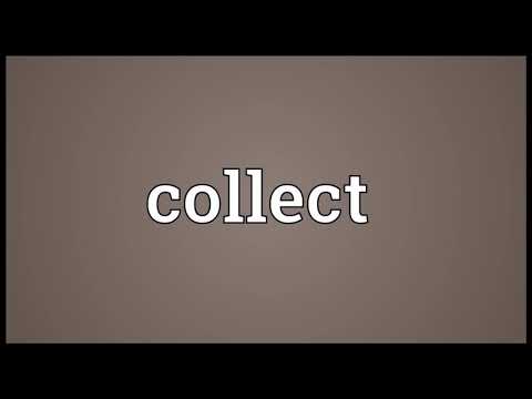 collect meaning in english