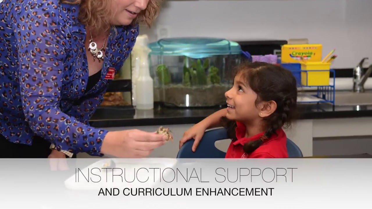 What Does the Annual Fund Support?