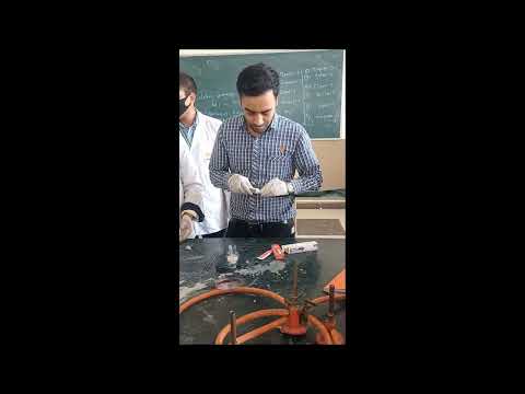 permeability Testing by goat skin