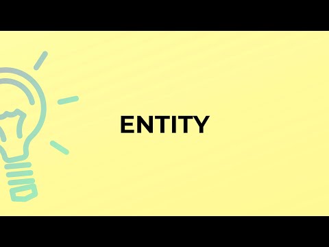 What is the meaning of the word ENTITY?