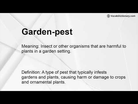 Garden-pest Meaning
