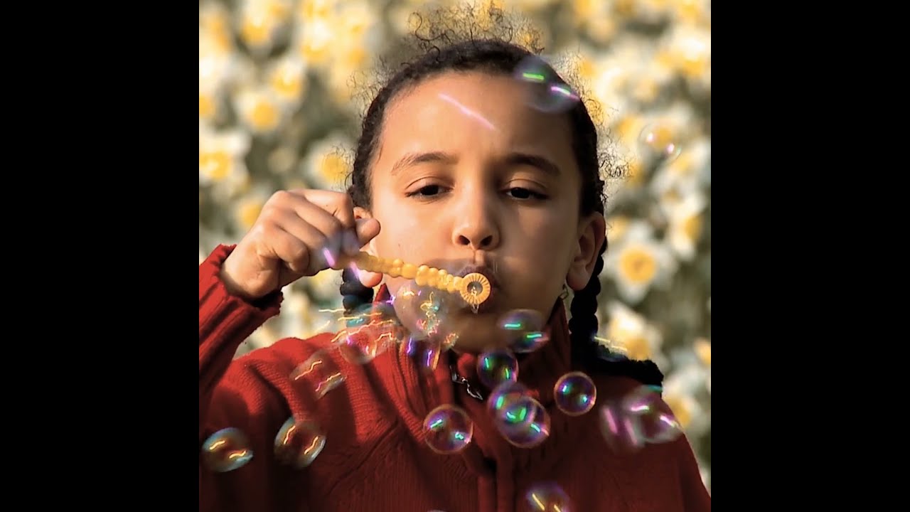 Spring2ACTion with SCAN