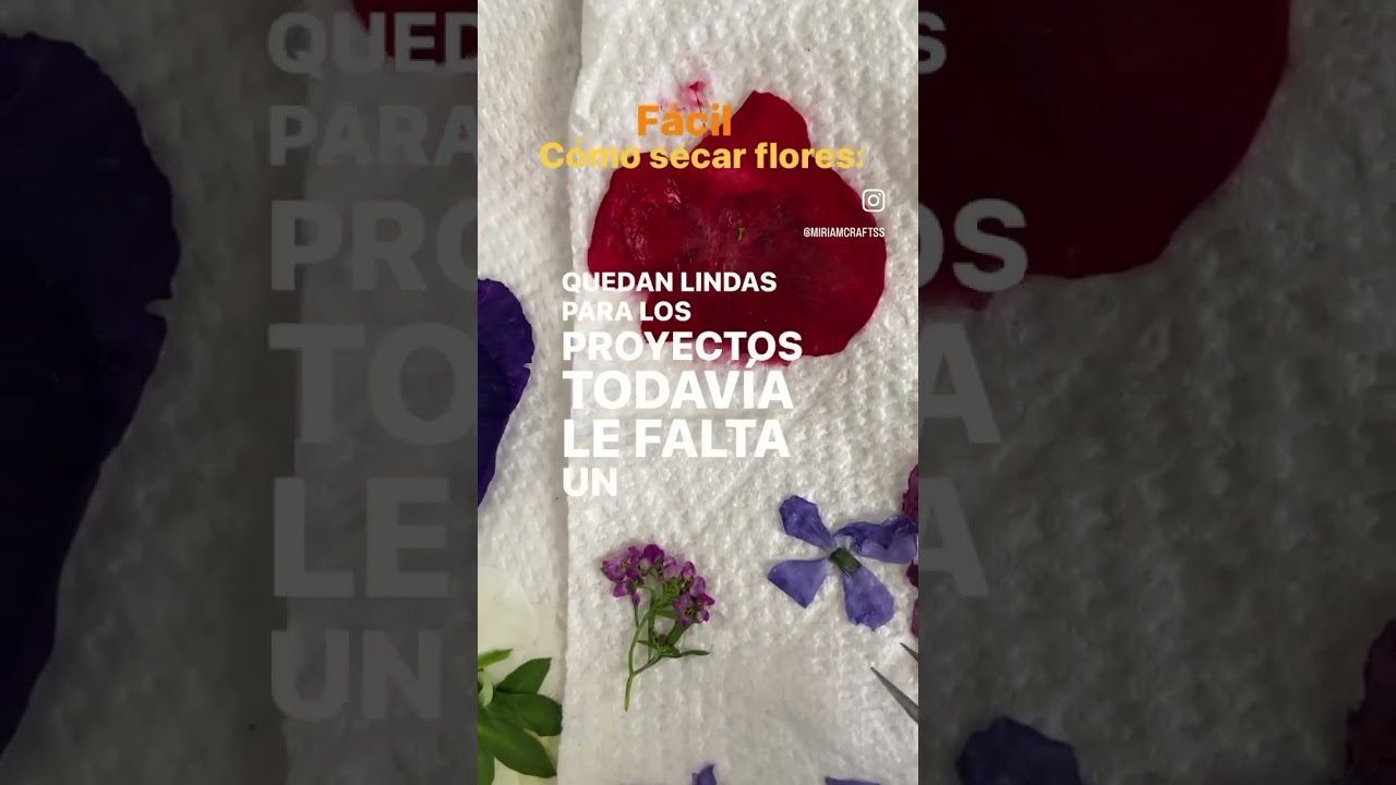 #como #secar #flores #naturales #para #proyectos de #junkjournal y #artjournal #ideas