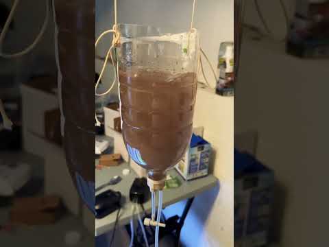 Home made DIY brine shrimp hatchery