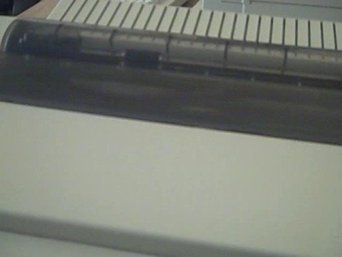 Apple Image Writer II