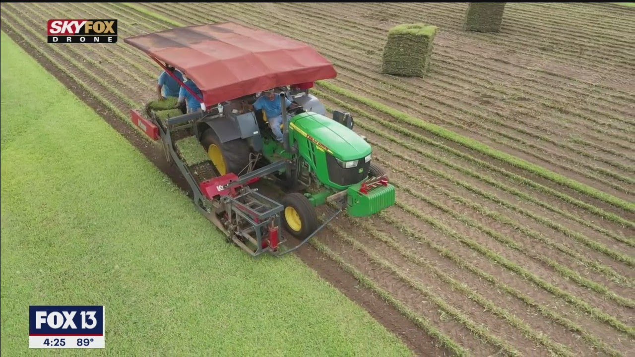 Drone Zone: Bay Breeze Farms sod fields