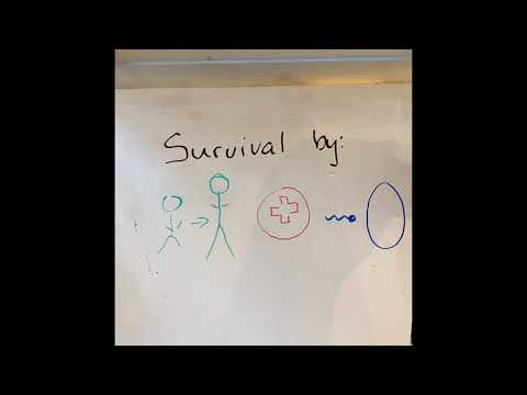 How does correct DNA replication ensure the continuity of species?