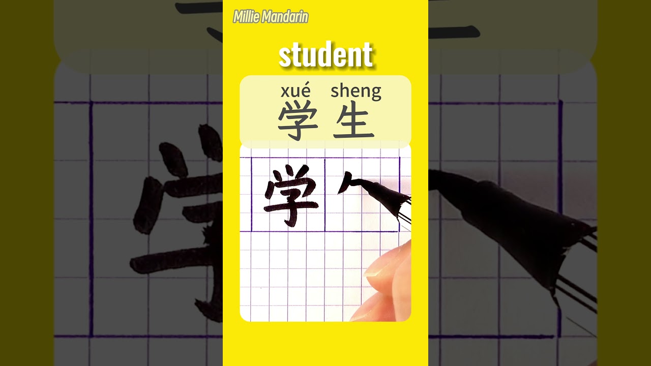 STUDENT in Chinese⎮Write Chinese Characters⎮Hanzi⎮HSK  #chinesehandwriting #learnmandarinchinese