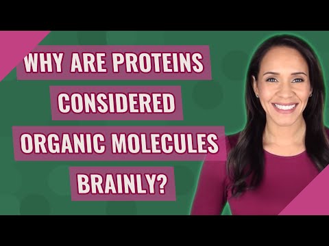 Why are proteins considered organic molecules Brainly?