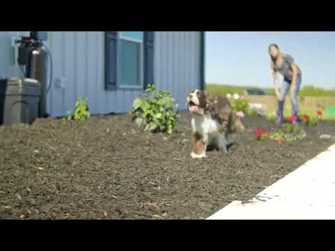 Mulch Glue on Mulch and Pea Gravel? Save Time with #1 DOMINATOR Mulch Anchor for Landscaping