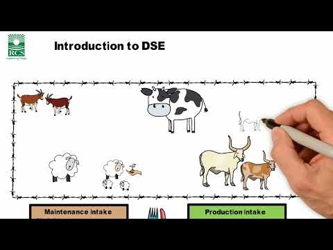 An introduction to DSE