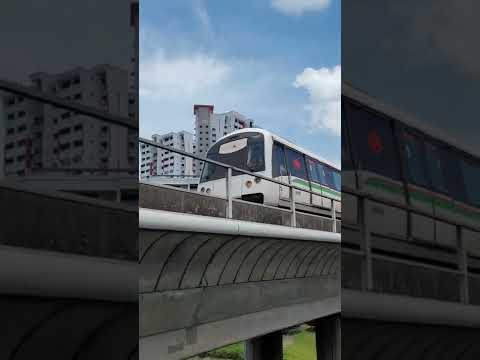 Singapore Travel | MRT Singapore | Singapore Train #Shorts