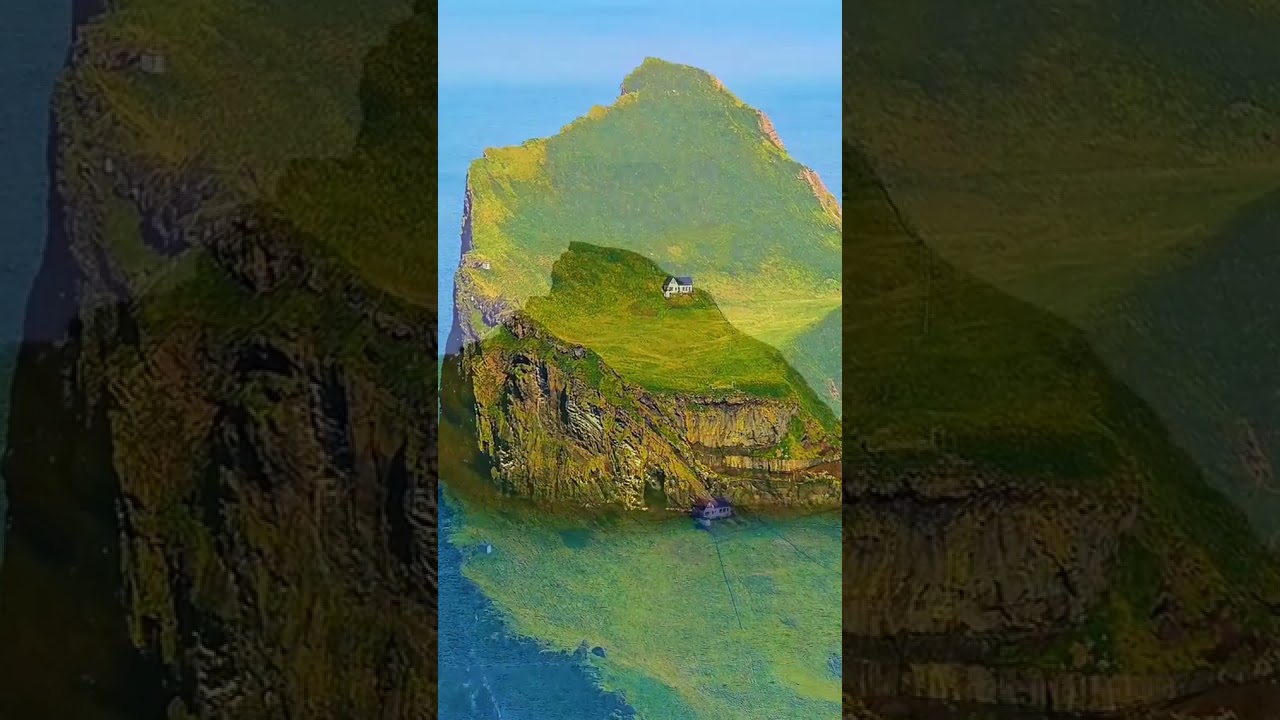 wBeauty that's not needs to be said about 🍃