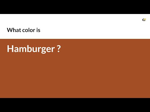 Hamburger color #a34e25 hex color - Orange color - Cool color a34e25