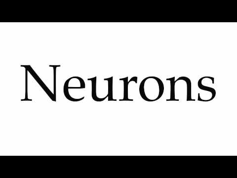 How to Pronounce Neurons