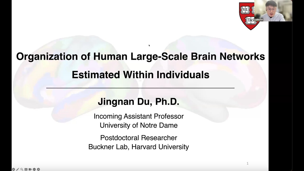 OpenTalks #101 - Organization of Human Large-Scale Brain Networks Estimated Within Individuals