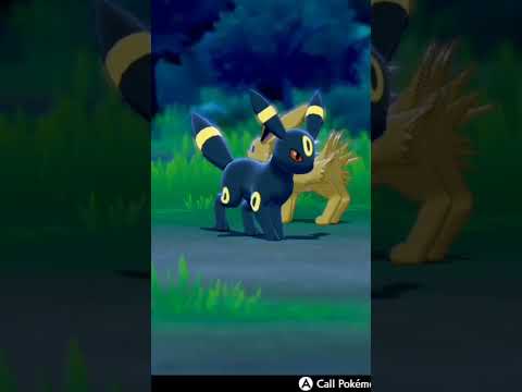Jolteon runs up to say hi