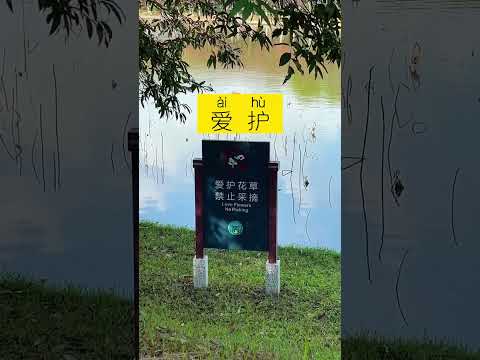 Learn Chinese words in the park #shorts #chinese #mandarin #learnchinese #learn #中文