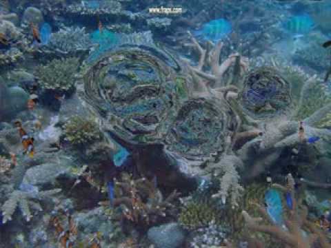 launch 2009 06 01 11 23 11 06 mpeg2video