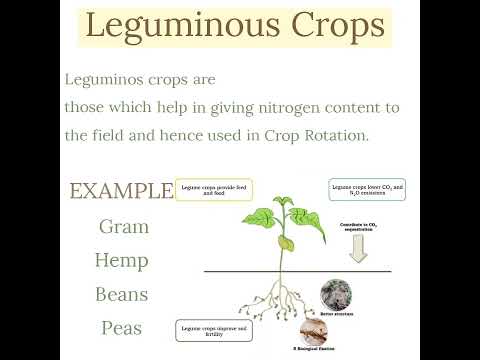 Leguminous crops | Irrigation Engineering #civilengineering #competitiveexam #daily #concept