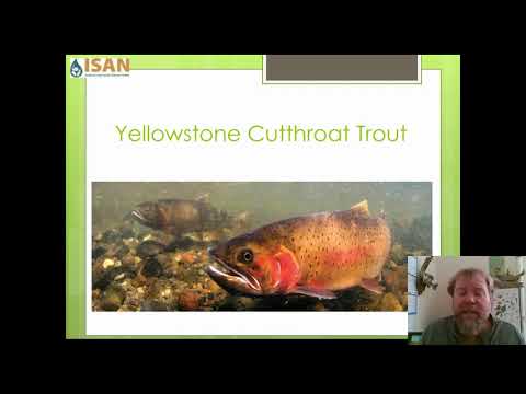 All About Keystone Species