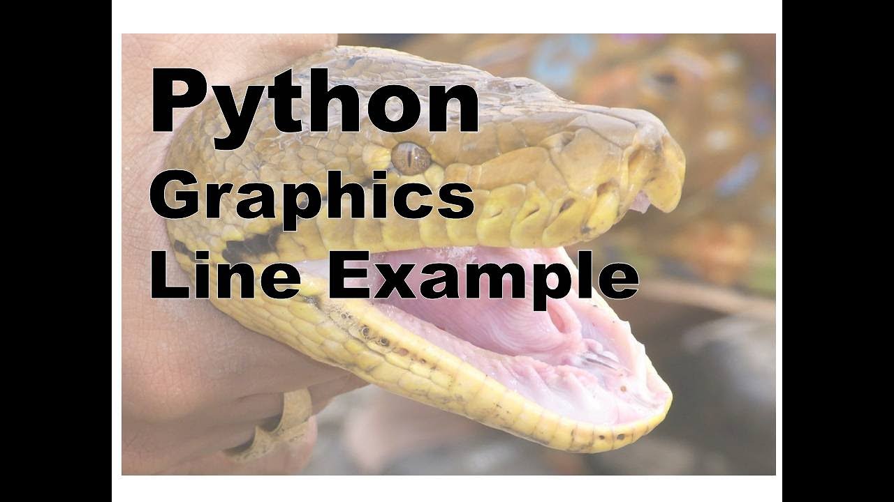 510-Python Line Graphic Example