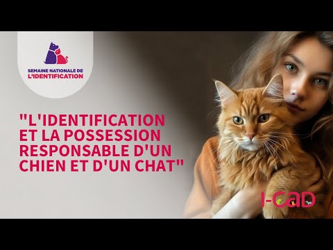 Tout savoir sur l’identification et la possession responsable d’un chien et d’un chat