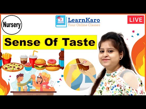 Nursery | Concept - Sense Of Taste