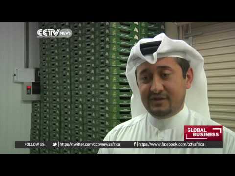 Qatari farmers find innovative ways to produce fertile soil ...