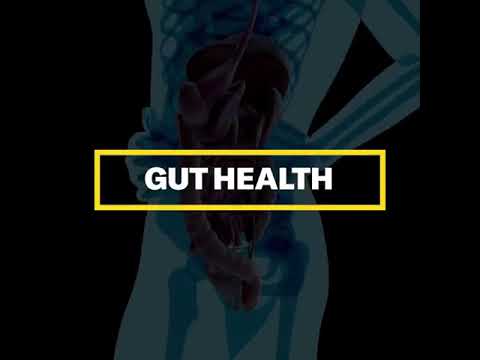 Tips to Improve Your Gut Health | Dr. RC Soni | Best Gastroenterologist