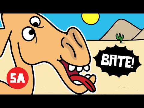 Camel: The newest animated short film by Sminky Animation | David James ...