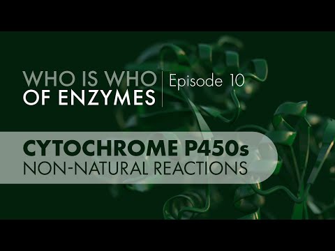 Who Is Who of Enzymes: Cytochrome P450 Monooxygenases (Non-natural Reactions)