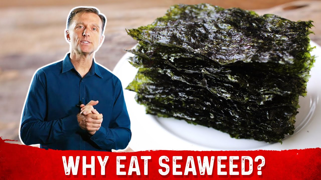 What is Seaweed? – Dr.Berg Explains Roasted Seaweed Benefits