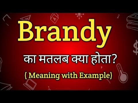 Brandy Meaning in Hindi | Brandy Ka Matlab kya Hota hai| English to Hindi dictionary