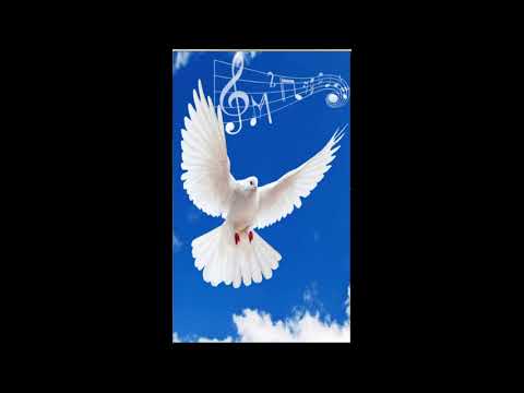 Lagu Rohani Batak Dison Adong Huboan Tuhan (Gondang Batak)