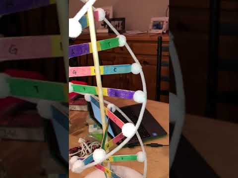 3d Dna Project