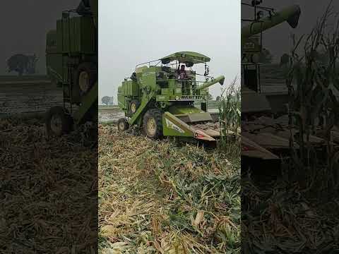 #shorts malkit combine maize harvester #viral #vedio
