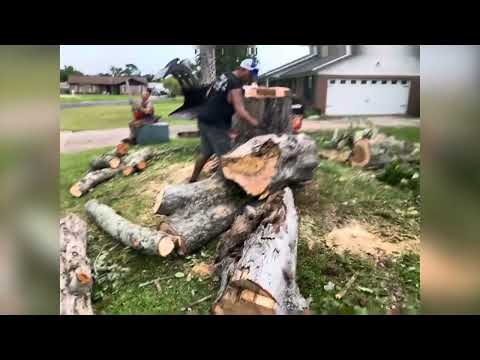TREE LIFE 1 LLC. / 584TREE.COM / ROTTEN MAPLE TREE REMOVAL WITH BUCKET TRUCK / ULTIMATE DUMP TRAILER