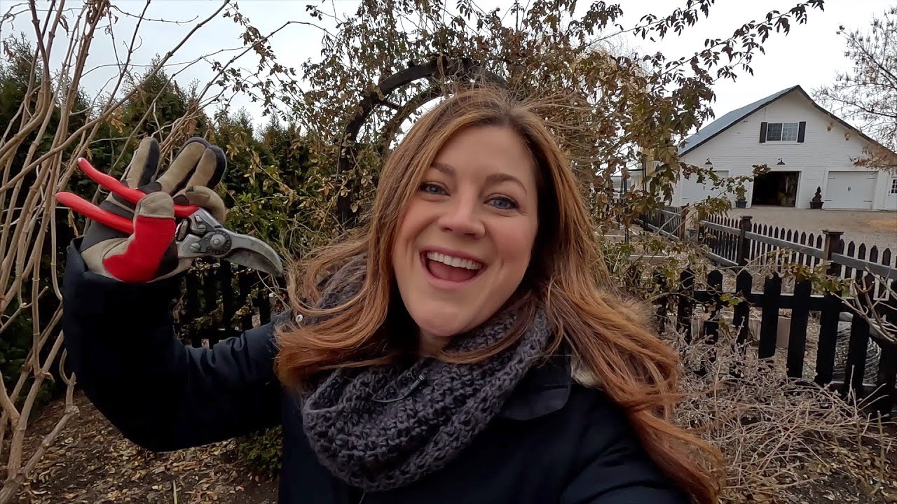 Pruning Climbing Roses! 🌹✂️🌿 // Garden Answer
