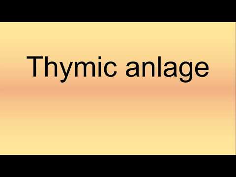 Thymic Anlage Pronunciation | How to Say | How to Pronounce