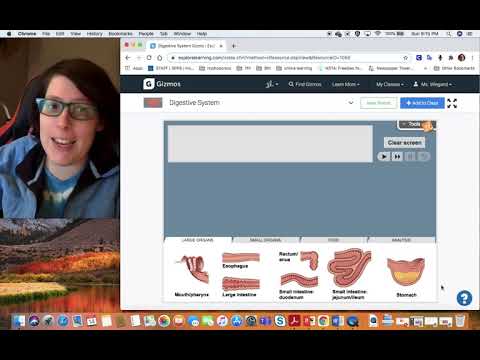 How to Use Digestive System Gizmo