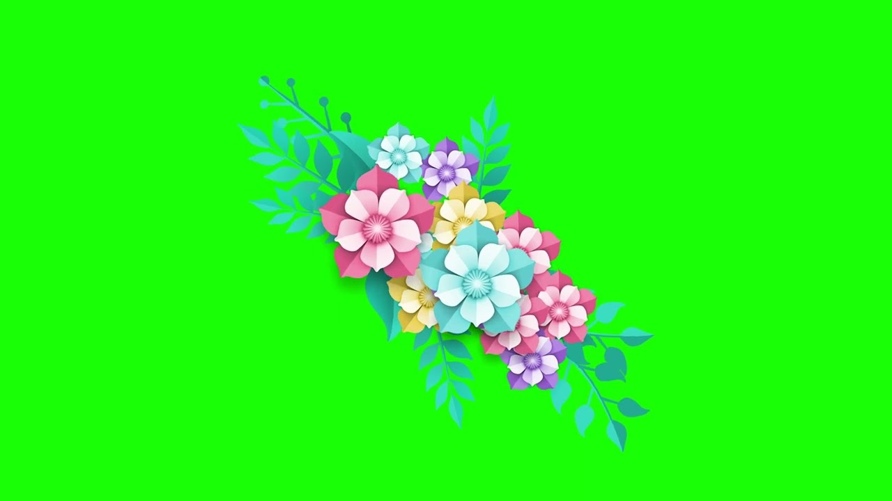 flower animation green screen element