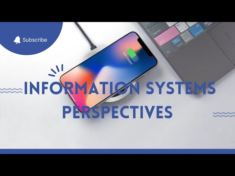 Perspectives on Information Systems: Insights from Experts and Practitioners